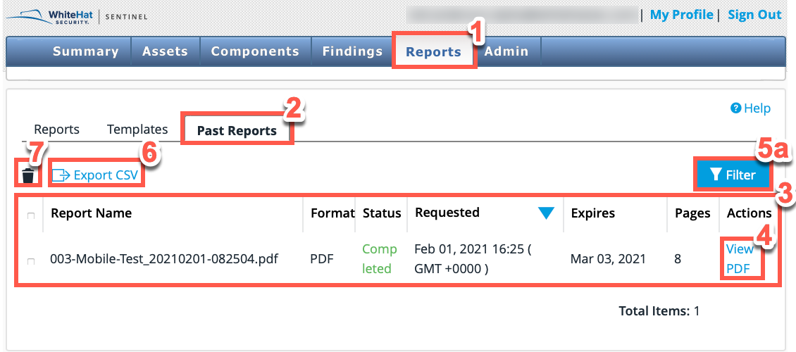 The Past Reports Sub-tab | Continuous Dynamic Docs
